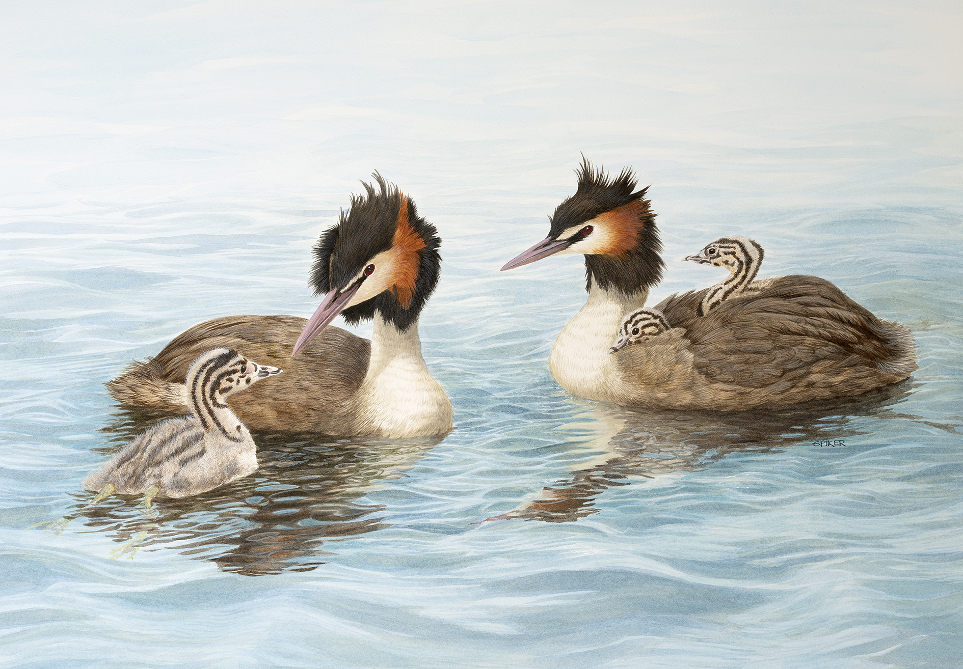 ORIGINAL WATERCOLOUR PAINTINGS – Chris Spiker Fine Art